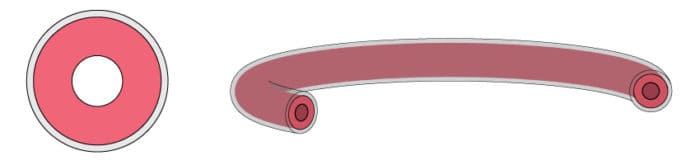 Teflon Encapsulated O-Rings | Global O-Ring and Seal