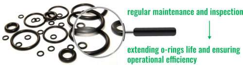 Maximize O-Ring Lifespan and Integrity | Global O-Ring and Seal