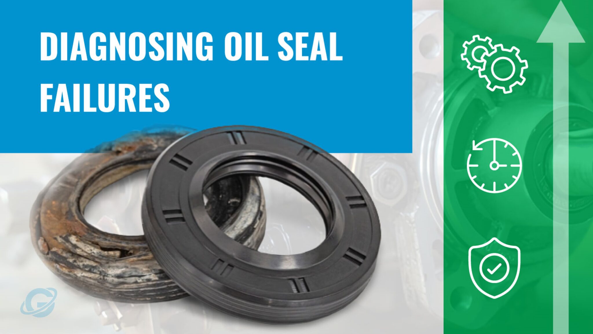 Diagnosing Oil Seal Failures | Global O-Ring and Seal