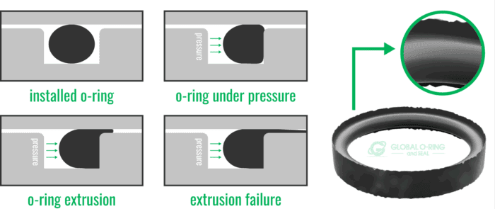Preventing O-Ring Extrusion and Spiral Failure | Global O-Ring and Seal